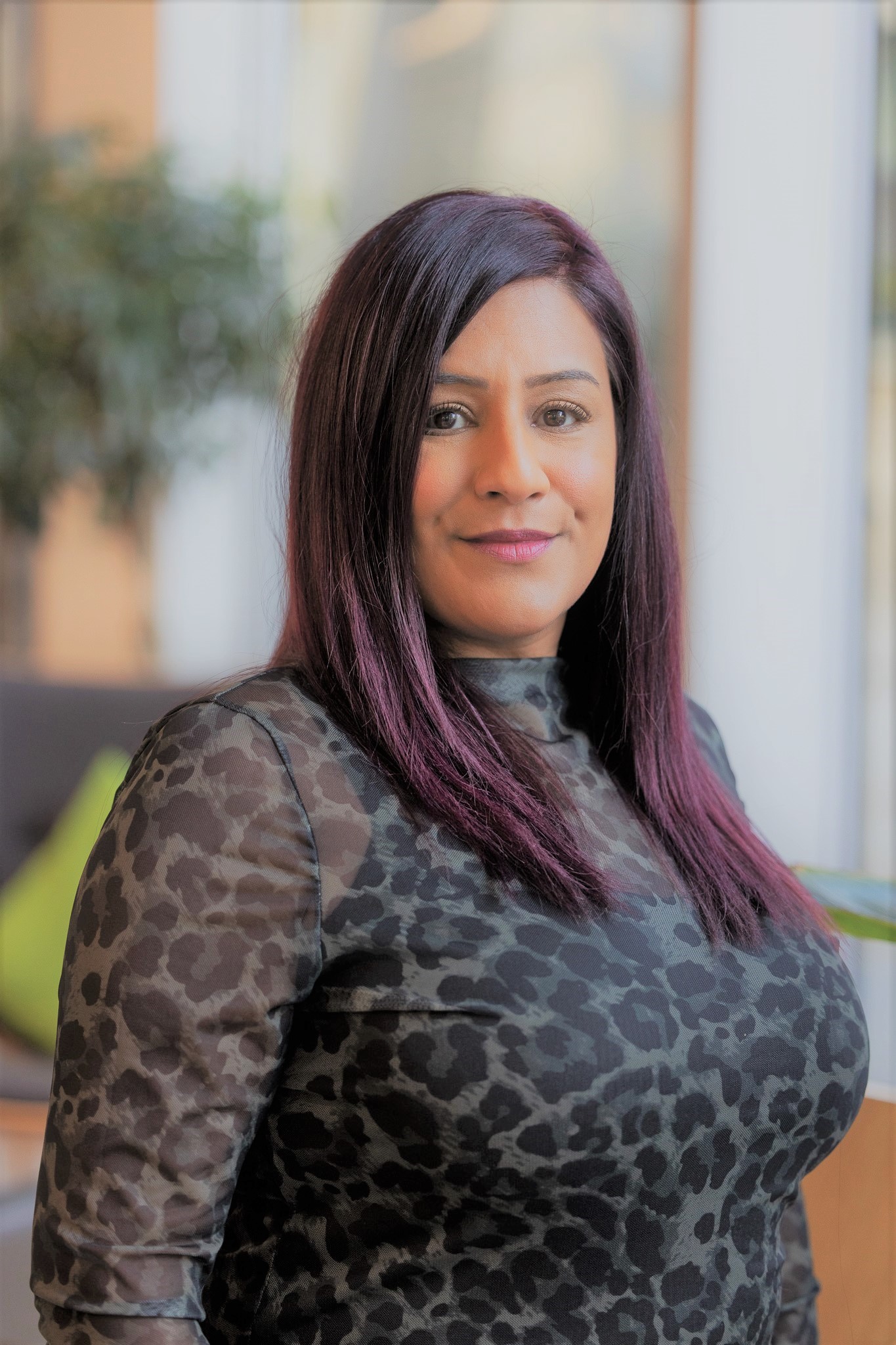 Ep.133 - From Risk Analyst to Data Leader: Bindu's Journey and Key ...